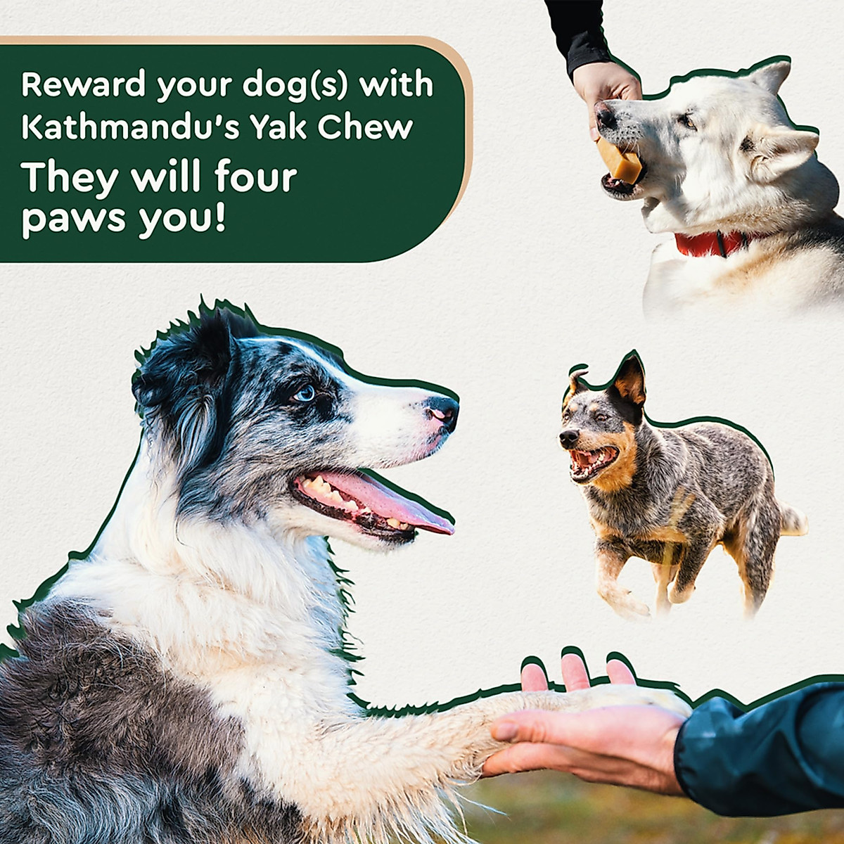 KATHMANDU'S Authentic Yak Cheese Himalayan Dog Chews - All Natural and Protein-Rich Nutrition Dog Treats, Long Lasting Chews for Aggressive Chewers, Odor & Gluten Free Yak Chew | Large (Pack of 2)