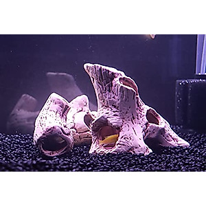 ALEGI Aquarium Decoration Rock Caves, Hideaway for Shrimp, Cichlid, Betta Fish Hideout Decor, Safe for Freshwater and Saltwater Tanks (TreeStumpL+S)
