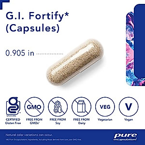 Pure Encapsulations G.I. Fortify (Capsules) | Supports G.I. Function, Motility and Detoxification | 120 Capsules