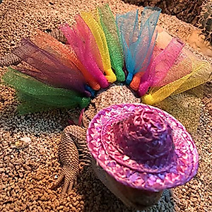 Lizard Clothes for Bearded Dragon - Adjustable Layered Rainbow Tutu Skirt and Hat Set Halloween Costume Photo Cosplay Party Dress Up Gift for Reptile Lizard Crested Gecko Chameleon (Rainbow)