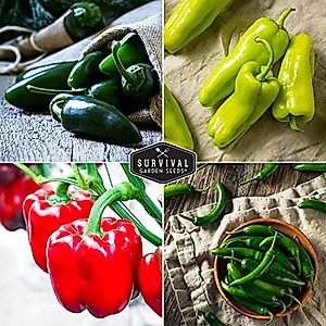 Survival Garden Seeds Pepper Collection Seed Vault - Non-GMO Heirloom Vegetable Seeds for Planting - Sweet and Hot Pepper - Jalapeño, Cayenne, California Wonder, Marconi Red Peppers