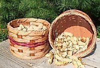 Double Peanut Amish Handmade Basket One Side Holds the Uncracked Peanuts Still in the Shell Other Side Holds Hulls Until Ready to Be Discarded in the Trash or Recycle Bin. Great Idea for Any Man Cave or Bar. Can Also Be Placed on the Coffee Table in Front