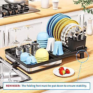 G-TING Dish Drying Rack, Expandable (11.8"-20.5") Large Capacity Dish Rack, Dish Drainer with Stainless Steel Cutlery Rack and Cutlery Bucket, Drying Rack for Kitchen Counter