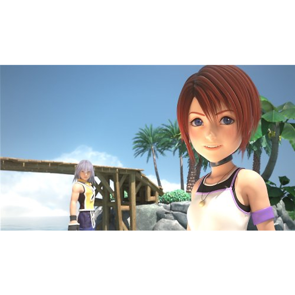 Kingdom Hearts 3D Dream Drop Distance