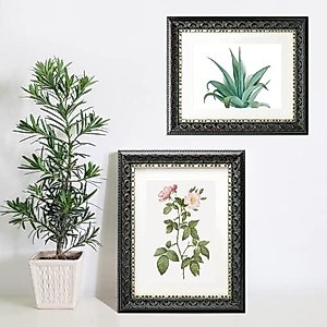 MEIGIX Home 8x10 Frame with High Definition Glass Surface, Anti-Wood Matt Frame, Display Picture 6x8 with Pad or 8x10 without Pad, for Wall or Desktop Display (Barocco Black)