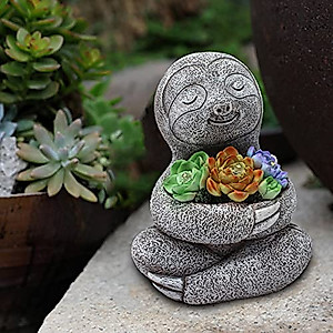 gazechimp Garden Statue Solar Lights Sloth Succulent Shape for Courtyard Patio Pathway Outdoor
