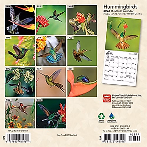 Hummingbirds | 2023 7 x 14 Inch Monthly Mini Wall Calendar | BrownTrout | Animals Wildlife Nature
