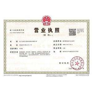 WonderLand Herbs Organic Cracked Cell Wall Wild Harvested Camellia Sinensis Pollen Powder 100 Grams (3.5 oz.) for Beauty