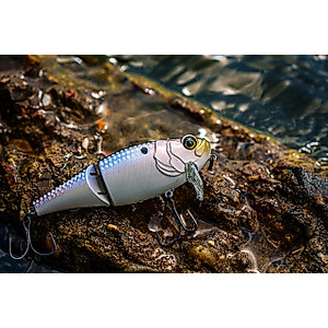 6th Sense Fishing Speed Wake (Live Shiner)