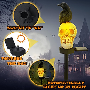 Retisee 2 Pcs Skull Halloween Lights Crow on Skull Solar Pathway Lights Outdoor Decorations Waterproof Scary Skeleton LED Lights for Patio Lawn Yard Garden Home,2 Styles