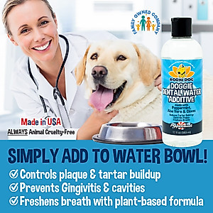 Bodhi Dog Bitter 2 in 1 No Chew 17oz + Peppermint Dental Water Addititve Bundle