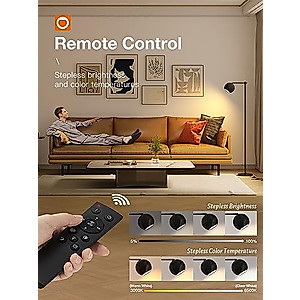 addlon Mid Century Modern Floor Lamp with Remote Control, 63 Inches Adjustable Black Globe Standing Lamp for Living Room,Antique Standing Lamp with Metal Shade for Reading Bedroom Office