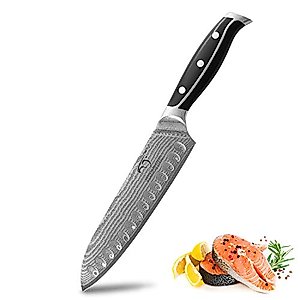 Damascus Kitchen Knife, 7 Inch Santoku Knife Professional Kitchen Knife Forged with VG10 Super Steel 67-Layer Damascus, Non-slip ABS Ergonomic Triple Rivet Handle, Razor Sharp Lightweight Multipurpose