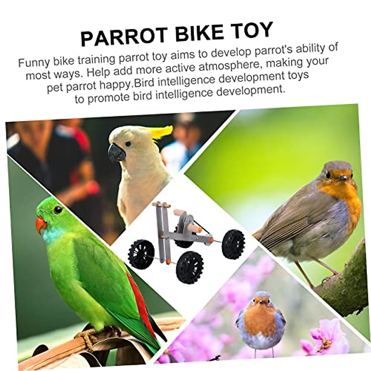 BCOATH Parrot Bicycle Toys for Boys Educational Toys for Bird Toys for Cockatiels Birds Playground for Table Finger Bikes for Parrot Desk Toy Parrot Bike Prop Steel 201 Pet