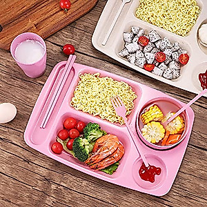 WUWEOT 8 Pack Divided Food Plates, 13.5" Wheat Straw Tray, 5-Compartment Unbreakable Fast Food Tray, Microwave Dishwasher Safe, BPA Free, Lightweight