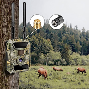 8dBi RP-SMA Male 3G 4G LTE Cellular Trail Camera Long Range Antenna Compatible with Spypoint Link Micro Link Dark Link S Link EVO Tactacam Stealth Cam Camera Cellular Trail Camera (Pack of 2)