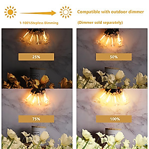 Outdoor String Lights 80ft ST38 Outdoor Lights with Waterproof Shatterproof 42 LED Bulbs(2 Spare)Connectable Patio Lights for Indoor Outdoor Courtyard Cafe Porch Party Led Outdoor String Lights