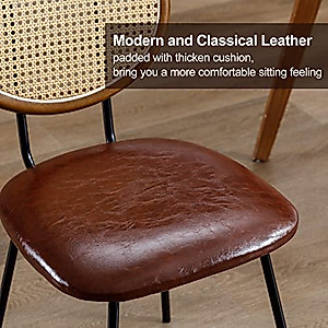 Okeysen Rattan Dining Chair,Indoor Kitchen Dining Chairs Set of 6,Mid-Century Modern Dining Chairs with Metal Leg&Rattan Backrest,Armless Mesh Back Cane Chairs for Dining Room