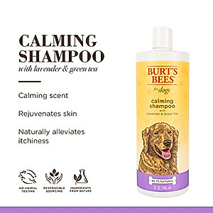 Burt's Bees for Dogs Natural Calming Dog Shampoo | Soothes, Calms & Revitalizes Dog's Coats | Dog Shampoos Made with Lavender and Green Tea | pH Balanced for Puppies - Made in USA, 32 Oz