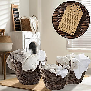 Casafield Set of 3 Multipurpose Boat Baskets with Handles - Espresso, Woven Water Hyacinth Storage Organizers for Throw Blankets, Bedroom, Living Room, Laundry