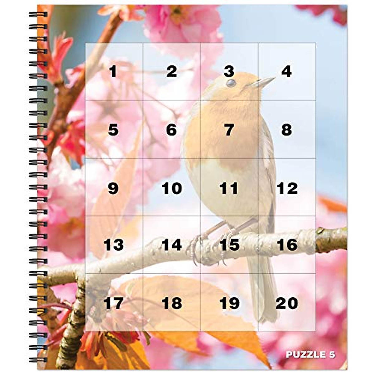 Brain Games - Sticker by Number: In the Garden (Easy - Square Stickers): Create Beautiful Art With Easy to Use Sticker Fun!
