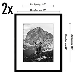 Americanflat 16x20 Picture Frame with Polished Plexiglass - Set of 2 - Use as 11x14 Frame with Mat or 16x20 Frame Without Mat - Galleria Collection - Photo Frames for Wall Display - Black