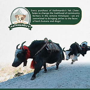 KATHMANDU'S - Authentic Himalayan Cheese Dog Chews - for Small Dogs (Pack of 15) - for Improved Dental Hygiene & Protein-Rich Nutrition, No Preservatives