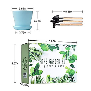 Indoor Herb Garden Starter Kit - 9 Herb Seeds Growing Kit, Organic&Non GMO Home Windowsill Plant Kit with All Gardening Tools, Ideal DIY Gardening Gift for Kids Adults