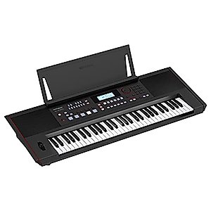 Roland E-X50 Electronic Arranger Keyboard – Easy-to-use | Stereo Speakers | Bluetooth | Professional Sounds | Mic Input | Auto-Accompaniment Function, Black