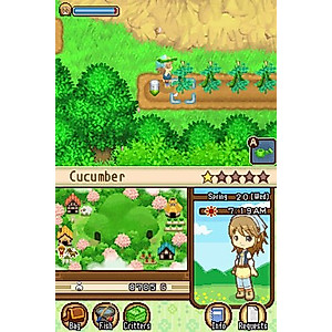 Harvest Moon: Tale of Two Towns - Nintendo DS