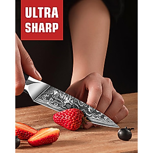 MOSFiATA Kitchen Knife ，Damascus paring Knife 3.5 inch Fruit Knife