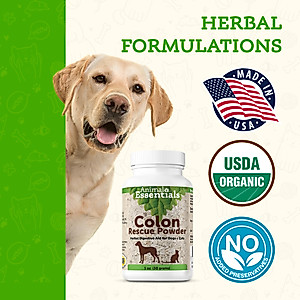 Animal Essentials Colon Rescue Powder - Herbal Digestive Aid for Dogs & Cats, Phytomucil, Healthy Gastrointestinal Tract, Certified Organic Herbs, No Preservatives, Glycerin-Based Formula - 1 Oz