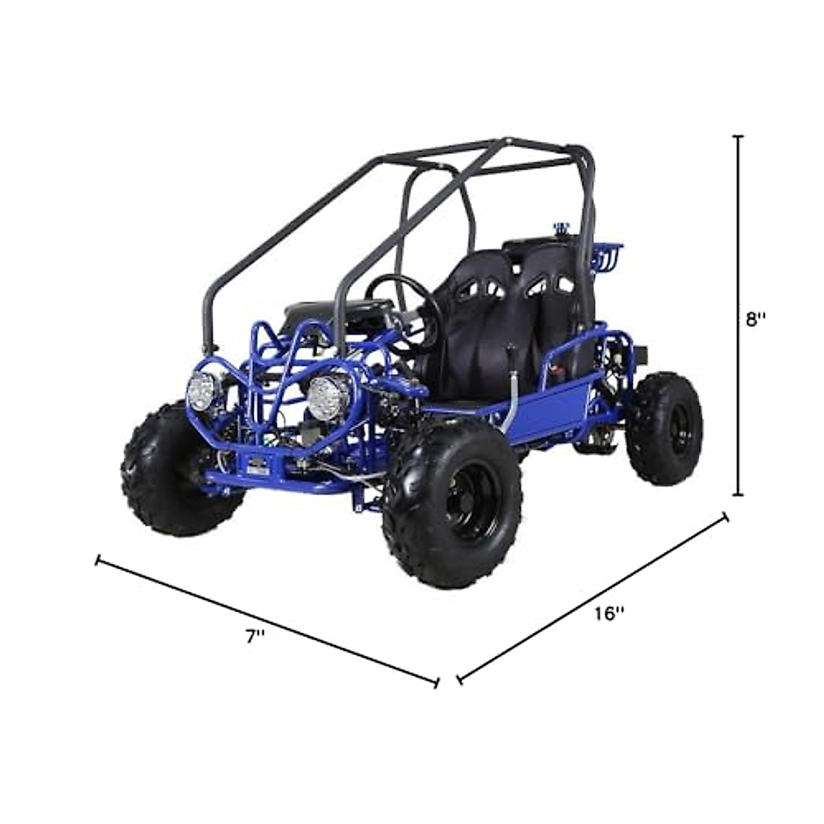 HHH Gokart GK125 is a125CC Gokart Fully Automatic Gas 2 Seater Kandi Mini Raptor gokart with Reverse for Youth (Blue)