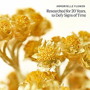 L’OCCITANE Immortelle Divine Firming Face Cream: Visibly Reduce the Appearance of Wrinkles, Retinol Alternative, Smooth Skin, Target Age Spots, Daily Moisturizer for a Youthful Radiance, 1.7 oz.