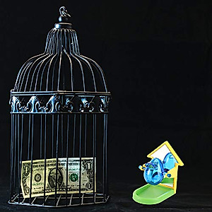 PATKAW Parrot Feeding Perch Bird Foraging Toy Parrot Foraging Toy Bird cage Feeder Parrot Training Toy Parrot Slow Feeder Birds Toys