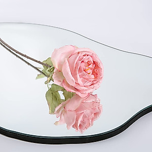 WOOD WORTH Irregular Mirror Wall Decor 19.7 x 33.5 Inch,Frameless Vanity Mirrors for Living Room Bedroom Home Office