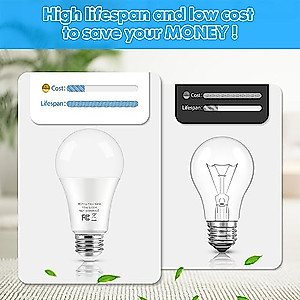 LED Light Bulbs, 100 Watt Equivalent A19 LED Bulbs, 13W 5000K Daylight White 1500 Lumens Non-Dimmable Bright E26 Edison Medium Screw Bulbs for Home Bedroom Kitchen Living Room Office Lamp, 4-Pack