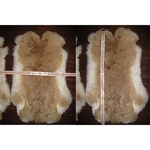 ZSCYD-yingda1992 5pcs Assorted Bulk Craft Grade Natural Rabbit Skins Real Quality Rabbit Pelts Perfect for Decoration, Cat/Dog Toys, Sewing, or Crafting Fur Hide 10" by 14"