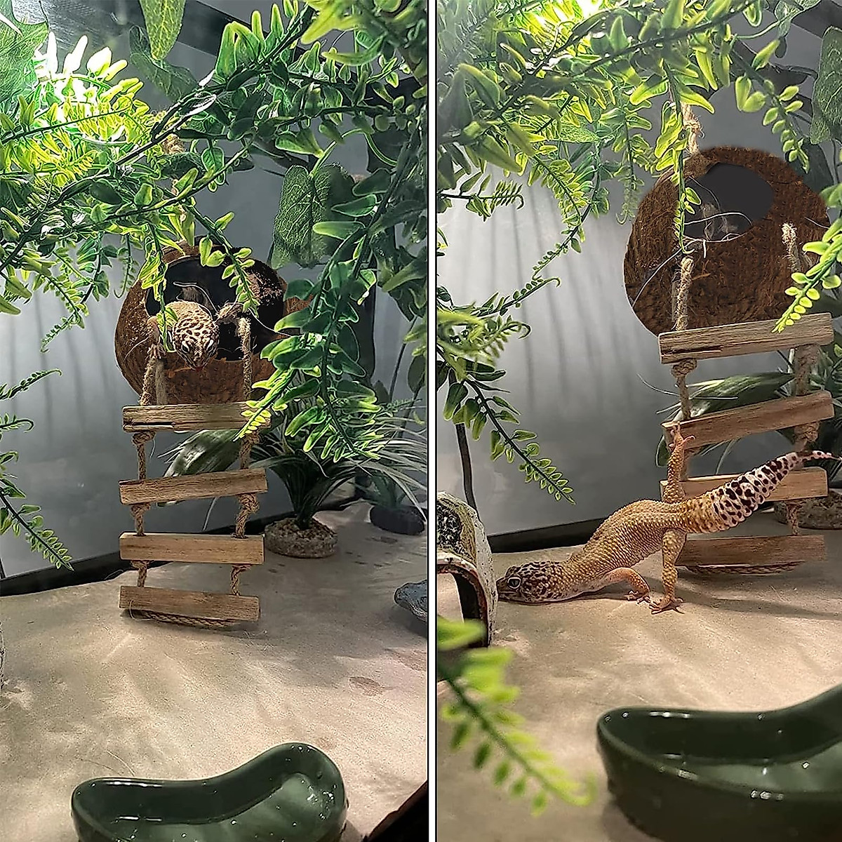 MUYG 6PCS Crested Gecko Coconut Hut, Lizard Coco Den with Ladder and Reptile Hammock Bearded Dragon Tank Accessories Climbing Hanging Plants Jungle Vine Flexible Reptile Leaves Decor