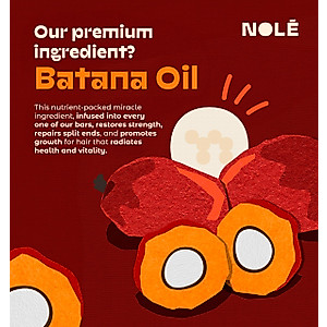 NOLE CARE Travel Size Shampoo and Conditioner Bar Set with Batana Oil - Sustainable, PH Balanced, Discovery Set, Plastic-Free, Color-Safe, Eco-Friendly, Solid Sustainable Bars, Zero Waste, 2.5 oz Bar