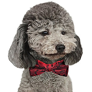 YOY Handcrafted Adorable Pet Bow Ties - 6-pack Adjustable Neck 11"-20" Paisley Bowties Dog Collar Neckties Kitty Puppy Grooming Accessories for Doggy Cat, 6 Colors