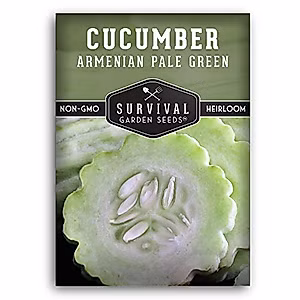 Survival Garden Seeds - Armenian Pale Green Cucumber Seed for Planting - Packet with Instructions to Plant and Grow Long Burpless Cucumbers in Your Home Vegetable Garden - Non-GMO Heirloom Variety