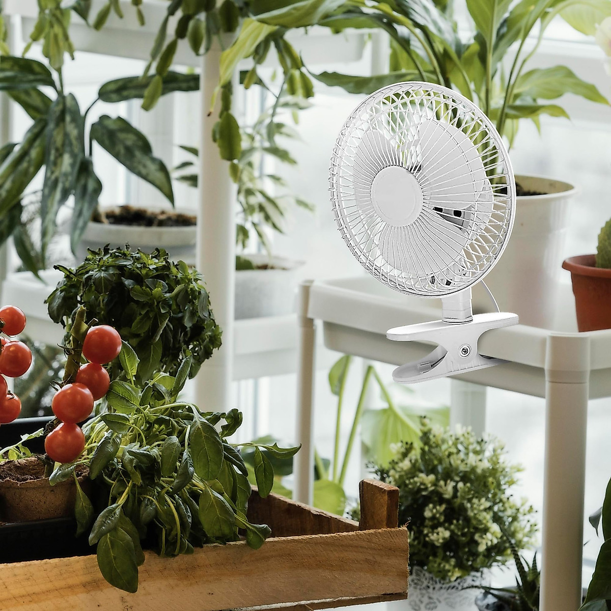 JOEY'Z 6 INCH - 2 Speed - Adjustable Tilt, Whisper Quiet Operation Clip-On-Fan with 5.5 Foot Cord and Steel Safety Grill (2, 6" Fan with 5 FT Cord)