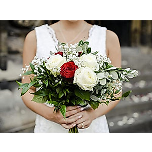 200+ Mixed Color Rose Seeds for Garden Planting 16 Varieties of Bush Perennial Shrub Heirloom 90% Germination Rate Open Pollinated Wonderful Gardening Gifts