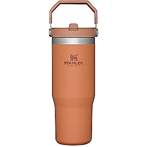 Stanley IceFlow Stainless Steel Tumbler with Straw - Vacuum Insulated Water Bottle for Home, Office or Car - Reusable Cup with Straw Leakproof Flip - Cold for 12 Hours or Iced for 2 Days (Ochre)