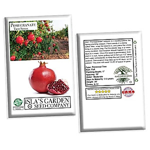 Pomegranate Tree Seeds for Planting, 30+ Fruit Tree Seeds, Tall & Beautiful Tree, (Isla's Garden Seeds), 85% Germination Rates, Great Home Garden Gift