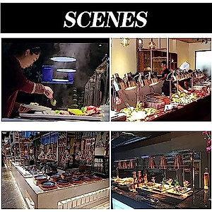 LINKANRUO Countertop Food Warmer Lamp 250W Bulb Commercial Food Heat Lamp for Food Warming Restaurant Warmer Food Service, Adjustable Lampshade Lamps(Sliver,Double Head)