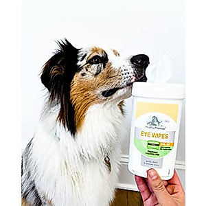 Four Paws Healthy Promise Pet Eye Wipes for Dogs and Cats 25 Count