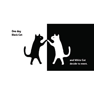 Black Cat & White Cat: A High Contrast Sensory Board Book About Opposites For Newborns and Babies