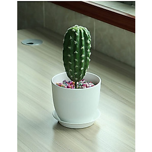 Elsjoy Set of 10 Plastic Planter Pots with Drainage Hole and Saucer, 6.5 Inch White Flower Pot Decorative Succulent Plant Pots for House Plants, Garden, Indoor & Outdoor